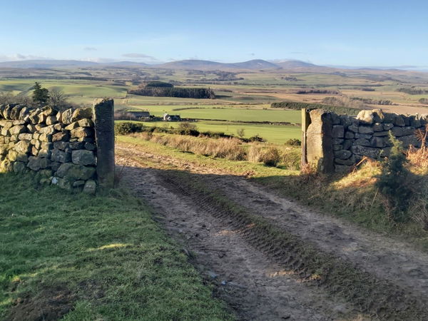 A Walk Over Hepburn Moor Then Up Ros Castle In Chillingham - Fabulous North