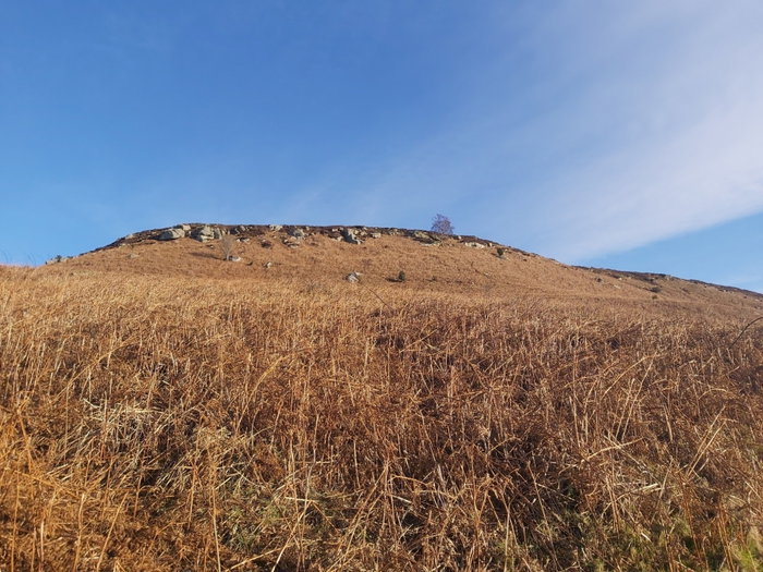 A Walk Over Hepburn Moor Then Up Ros Castle In Chillingham - Fabulous North