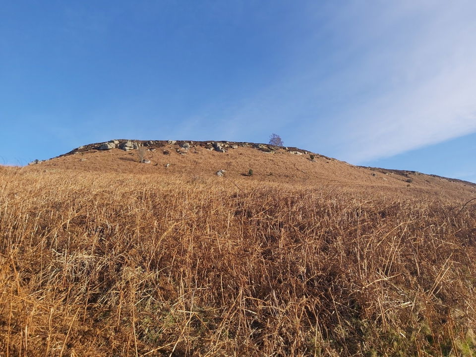 A Walk Over Hepburn Moor Then Up Ros Castle In Chillingham - Fabulous North