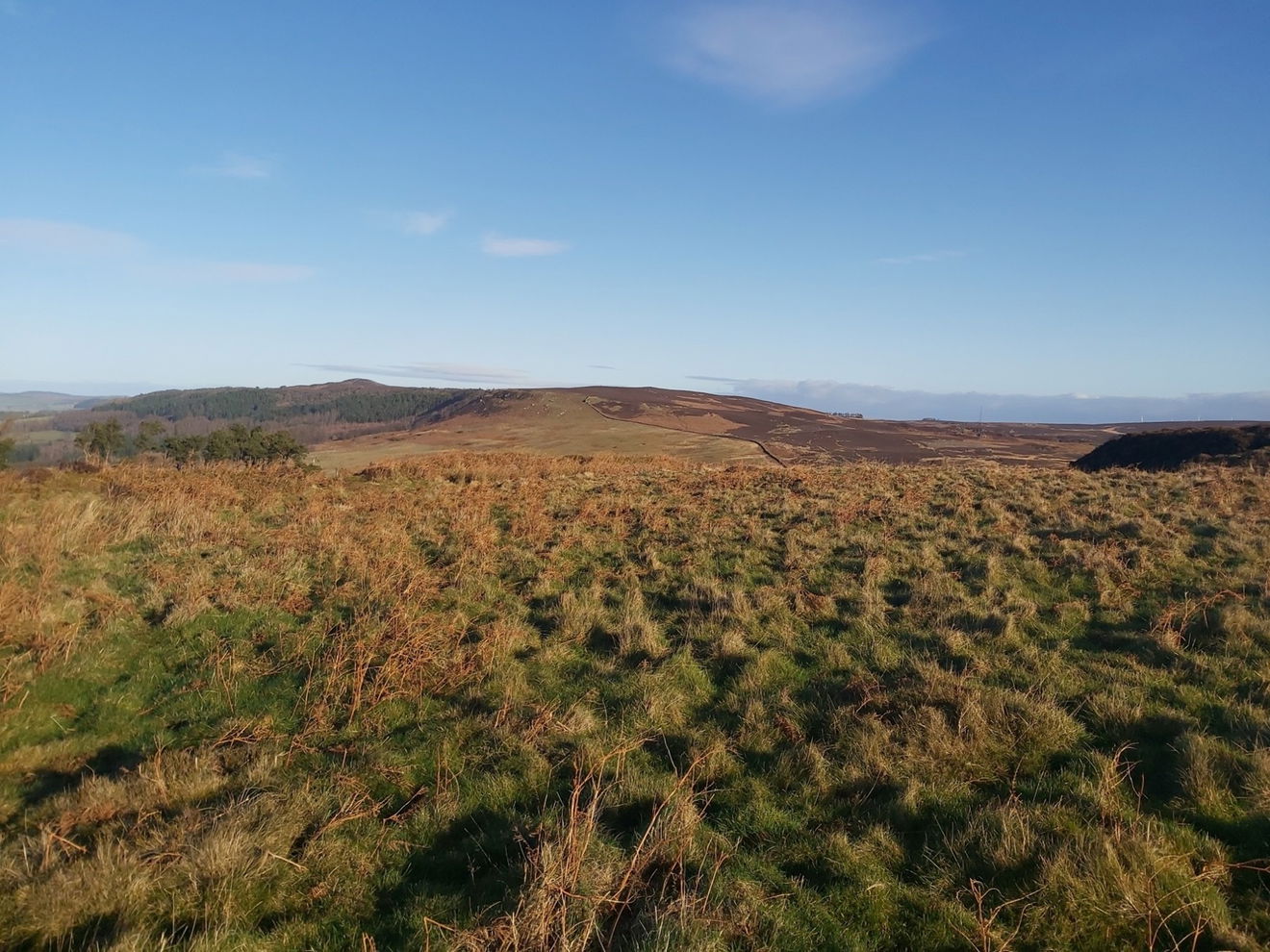 A Walk Over Hepburn Moor Then Up Ros Castle In Chillingham - Fabulous North