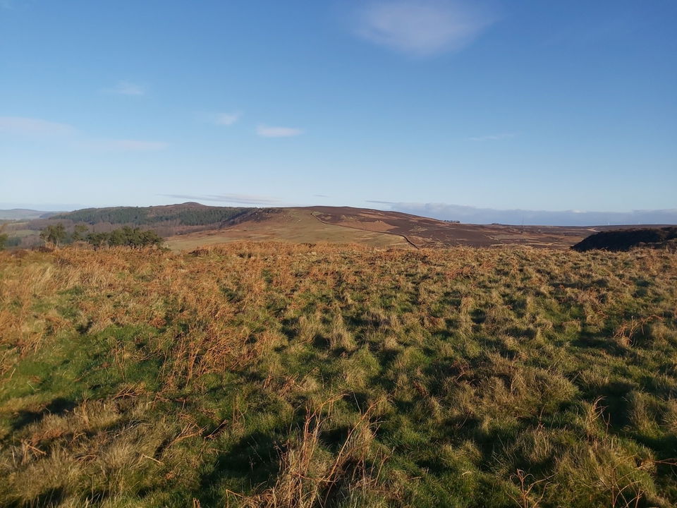 A Walk Over Hepburn Moor Then Up Ros Castle In Chillingham - Fabulous North