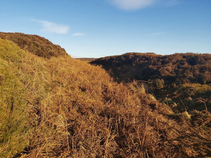 A Walk Over Hepburn Moor Then Up Ros Castle In Chillingham - Fabulous North