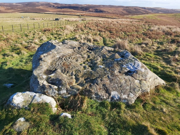 A Walk Over Hepburn Moor Then Up Ros Castle In Chillingham - Fabulous North