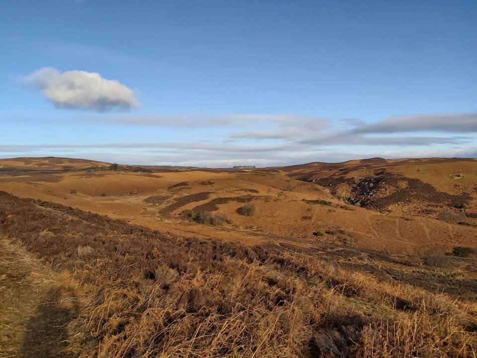 A Walk Over Hepburn Moor Then Up Ros Castle In Chillingham - Fabulous North