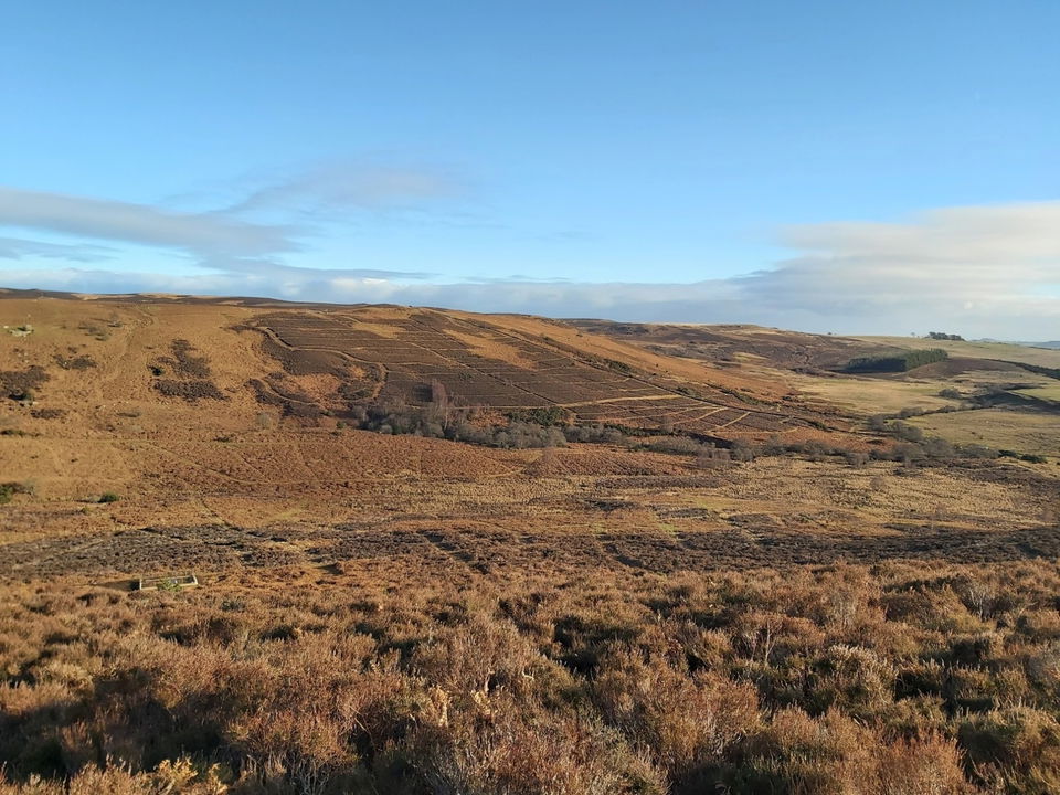 A Walk Over Hepburn Moor Then Up Ros Castle In Chillingham - Fabulous North