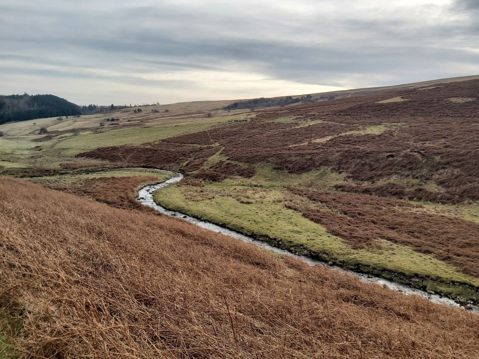 Hike Up Shill Moor And Little Dod Walk In Ingram Valley - Fabulous North