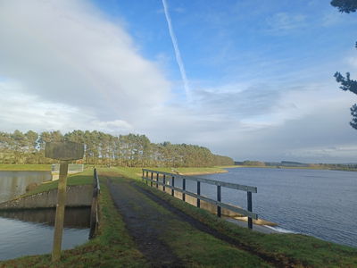 Walk Around Whittle Dene Reservoir In Ovingham - Fabulous North