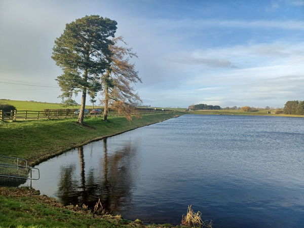 Walk Around Whittle Dene Reservoir In Ovingham - Fabulous North