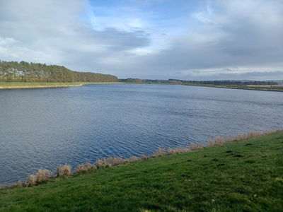Walk Around Whittle Dene Reservoir In Ovingham - Fabulous North