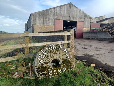 Walk Around Whittle Dene Reservoir In Ovingham - Fabulous North