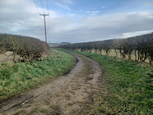 Walk Around Whittle Dene Reservoir In Ovingham - Fabulous North