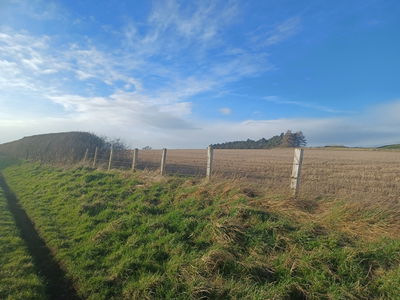 Walk Around Whittle Dene Reservoir In Ovingham - Fabulous North