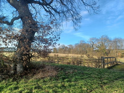 Walk Around Whittle Dene Reservoir In Ovingham - Fabulous North
