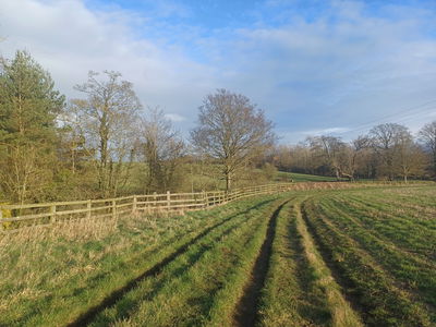 Walk Around Whittle Dene Reservoir In Ovingham - Fabulous North