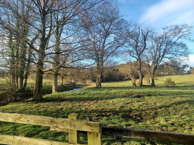 Walk Around Whittle Dene Reservoir In Ovingham - Fabulous North