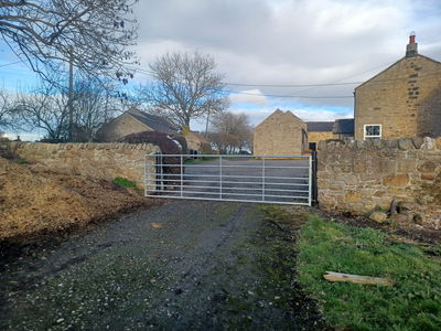 Walk Around Whittle Dene Reservoir In Ovingham - Fabulous North