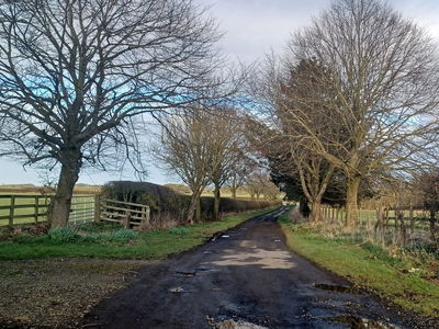 Walk Around Whittle Dene Reservoir In Ovingham - Fabulous North