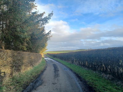 Walk Around Whittle Dene Reservoir In Ovingham - Fabulous North