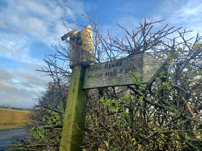 Walk Around Whittle Dene Reservoir In Ovingham - Fabulous North
