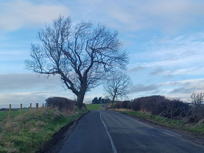 Walk Around Whittle Dene Reservoir In Ovingham - Fabulous North