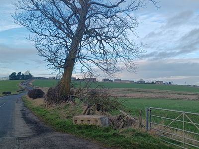 Walk Around Whittle Dene Reservoir In Ovingham - Fabulous North