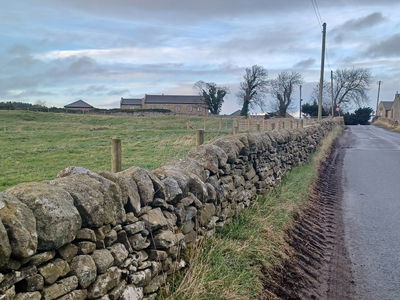 Walk Around Whittle Dene Reservoir In Ovingham - Fabulous North