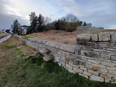 Walk Around Whittle Dene Reservoir In Ovingham - Fabulous North