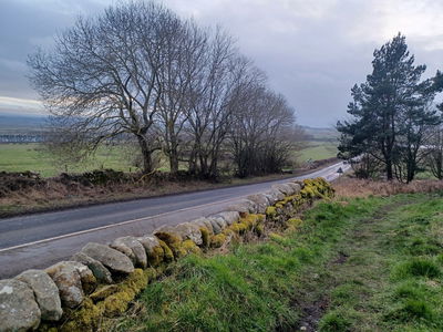 Walk Around Whittle Dene Reservoir In Ovingham - Fabulous North