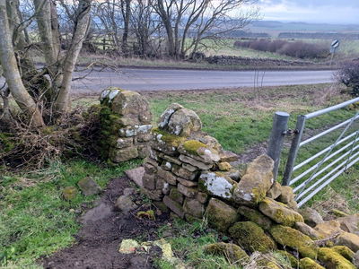 Walk Around Whittle Dene Reservoir In Ovingham - Fabulous North