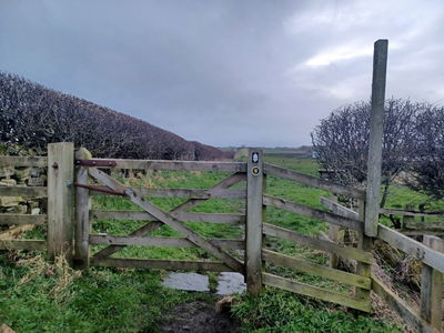 Walk Around Whittle Dene Reservoir In Ovingham - Fabulous North