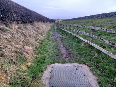 Walk Around Whittle Dene Reservoir In Ovingham - Fabulous North