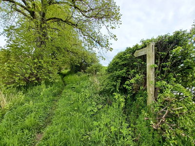 Circular Walk From Corbridge To Aydon Castle - Fabulous North