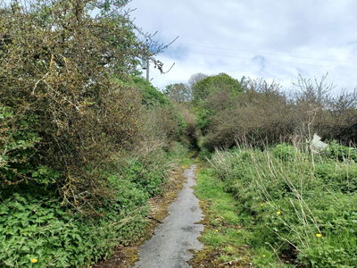 Circular Walk From Corbridge To Aydon Castle - Fabulous North
