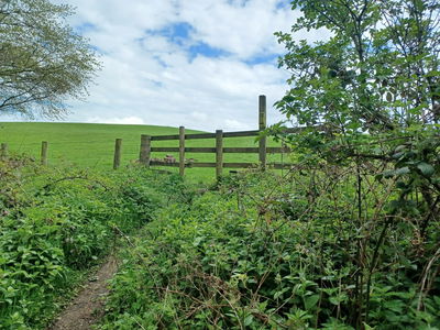Circular Walk From Corbridge To Aydon Castle - Fabulous North