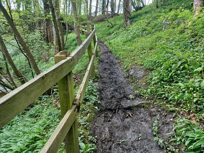 Circular Walk From Corbridge To Aydon Castle - Fabulous North