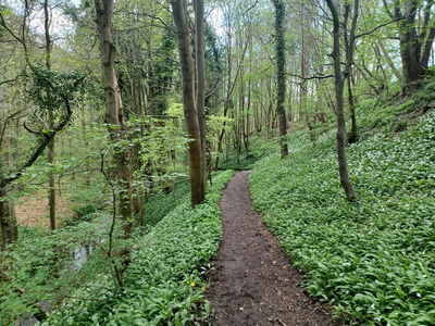 Circular Walk From Corbridge To Aydon Castle - Fabulous North