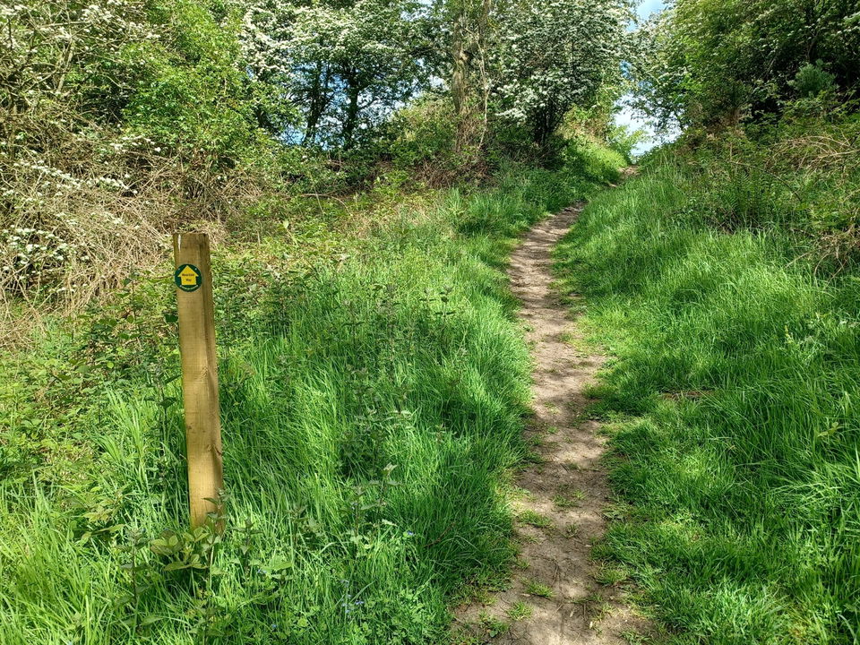 A Circular Walk Around Frosterley In County Durham - Fabulous North