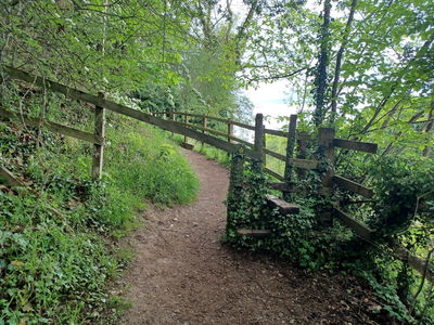 A Circular Walk Around Frosterley In County Durham - Fabulous North