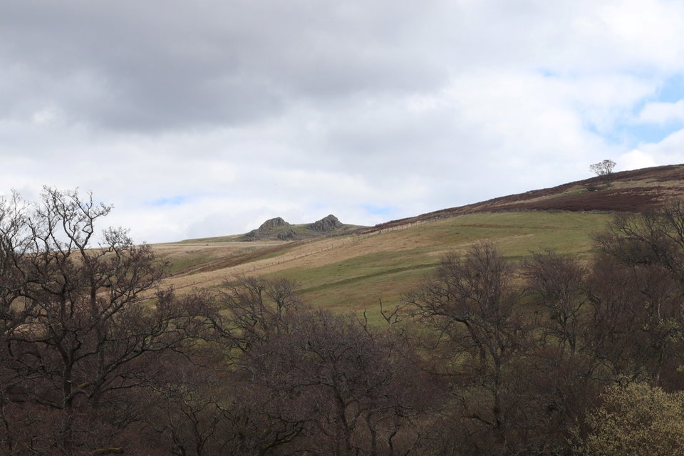 Walk Around Crags Near Hedgehope Hill And Langleeford - Fabulous North