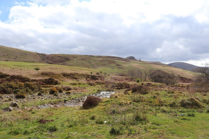 Walk Around Crags Near Hedgehope Hill And Langleeford - Fabulous North