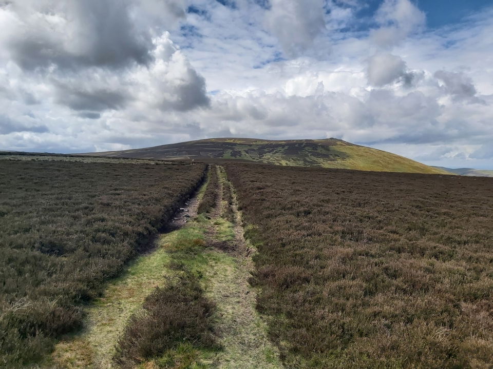 Walk To Yeavering Bell And Newton Tors In The Cheviots - Fabulous North