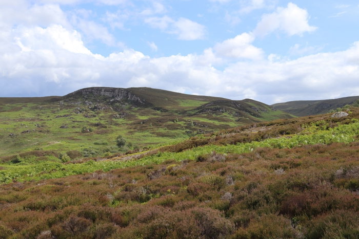 Walk To Darden Lough In Elsdon - Fabulous North