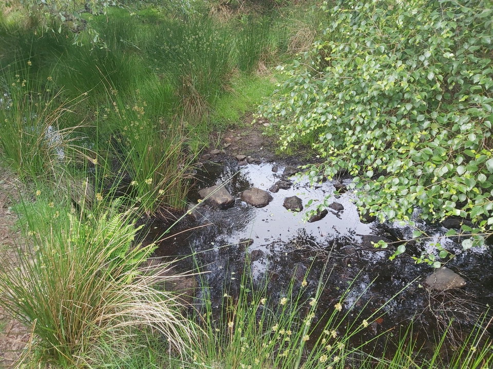 Walk To Darden Lough In Elsdon - Fabulous North