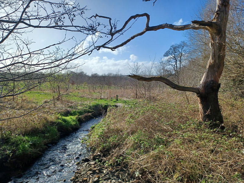 Walk Around Allensford Park In Consett - Fabulous North