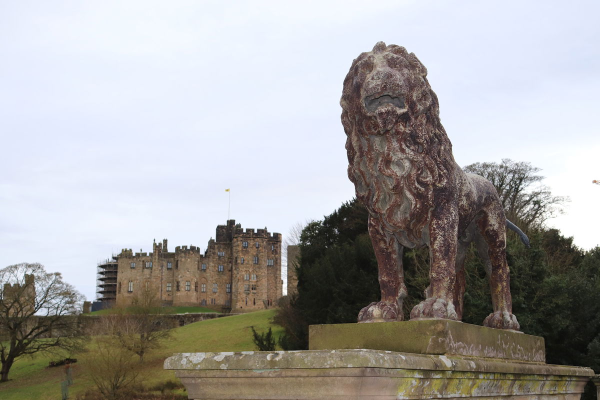 Walk Along The Alnwick Riverside And Old Railways - Fabulous North