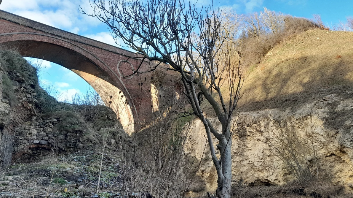 Walk Around Hawthorn Woods, Meadow And Dene In Seaham - Fabulous North