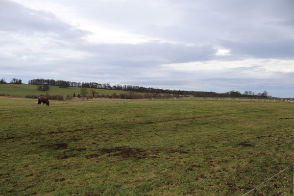 Walk Along The Alnwick Riverside And Old Railways - Fabulous North