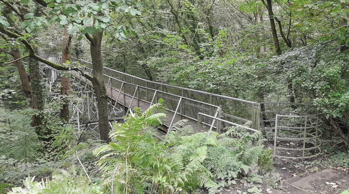 Walk Around Old Durham And 6 Bridges