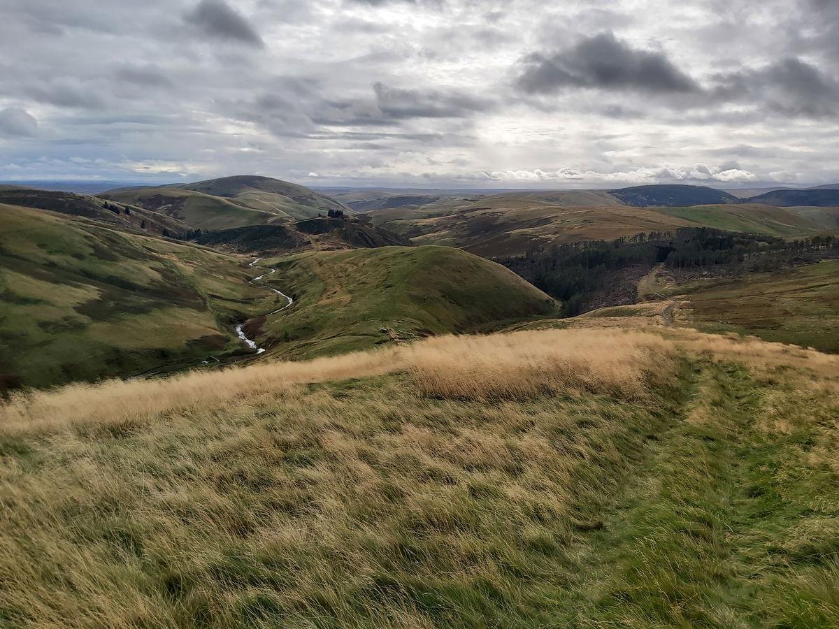 Pennine Way Challenge 2024 Hike In The Cheviots