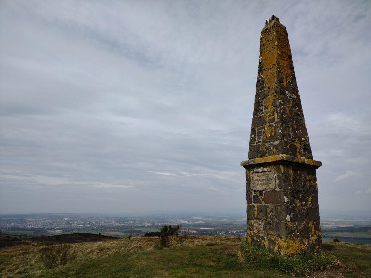 Scone Circular In Perth